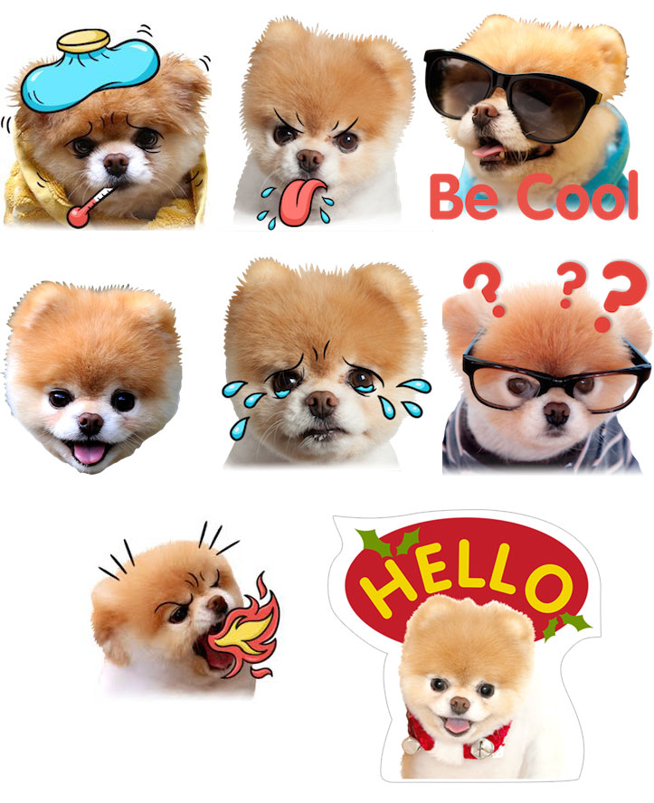 Chú chó nổi tiếng biểu tượng nhãn dán facebook qua đời tuổi ở 12