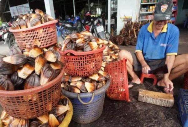 Loại quả "xấu xí” bị nhiều người xa lánh nhưng ở Trung Quốc rất được ưa ...