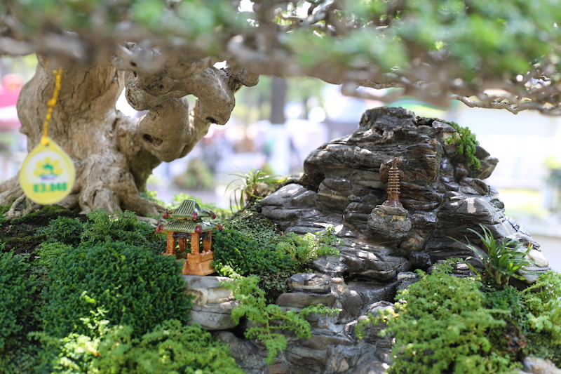 Nửa tỉ không mua được tiểu cảnh Đại lộc như sơn "siêu độc” tại Hội hoa Xuân