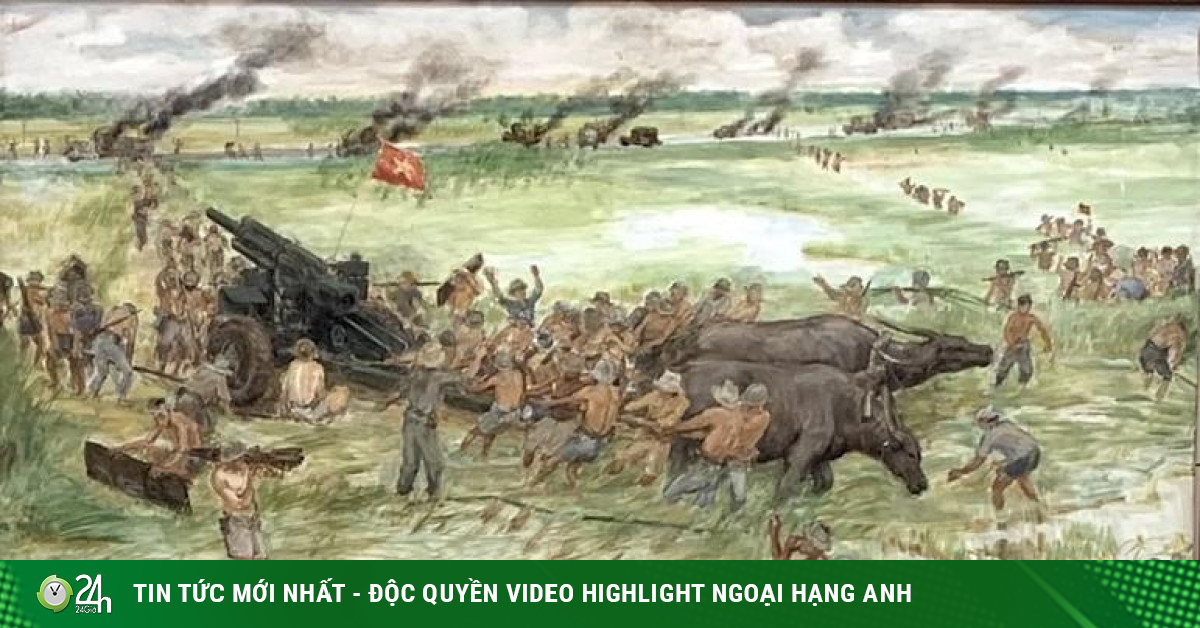 Chuyện về đôi trâu kéo pháo huyền thoại ở miền Tây