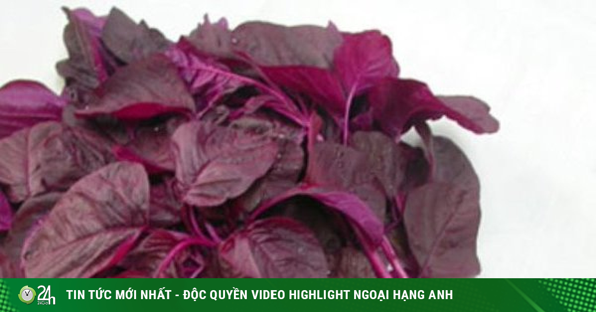 Những điều cấm kỵ khi ăn rau dền