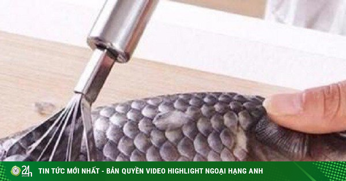 3 bộ phận của con cá tốt cho sức khỏe, nhiều người không biết vứt đi