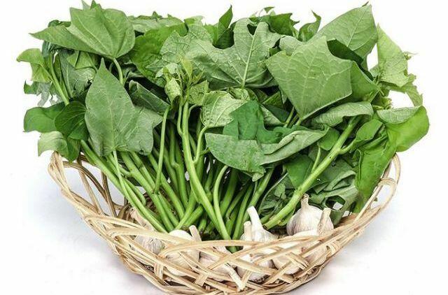 Loại rau quê rẻ bèo không ngờ được người Nhật coi là “rau trường thọ ...