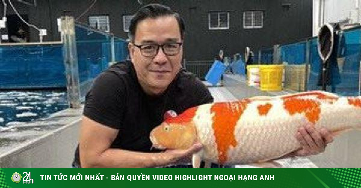 "Vua cá Koi" Thắng Ngô: Sở hữu khối tài sản kếch xù, trang trại cá rộng hơn 1.000m2