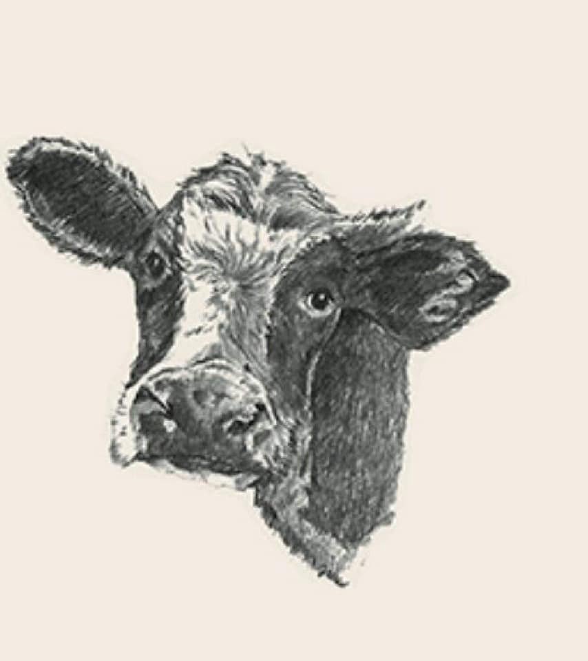 Hướng dẫn tạo hình chiếu động vật 4D đang được cư dân mạng thi nhau làm