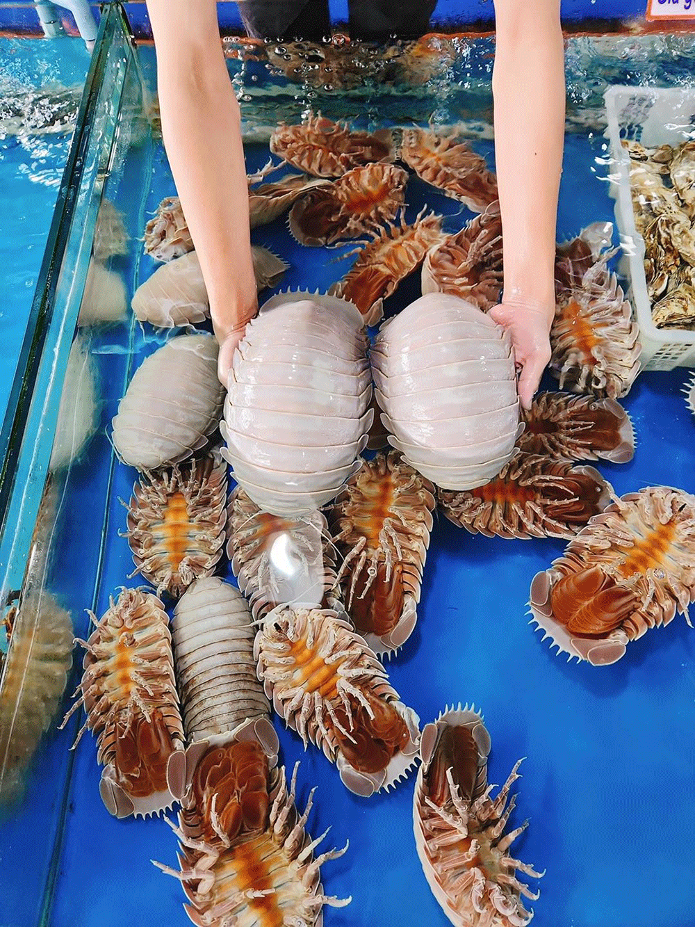 Từ con số không đến "bà trùm" hải sản Ốc Quyên