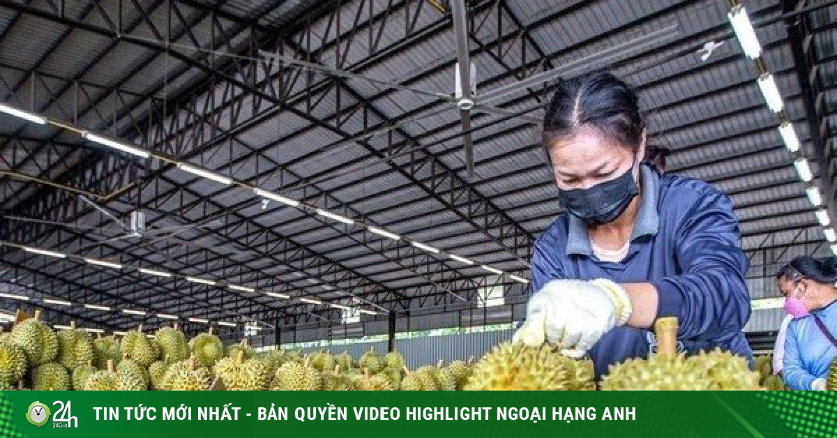 Chỉ trong 1 tháng, Trung Quốc chi tiền gấp 5 để mua rau quả Việt Nam