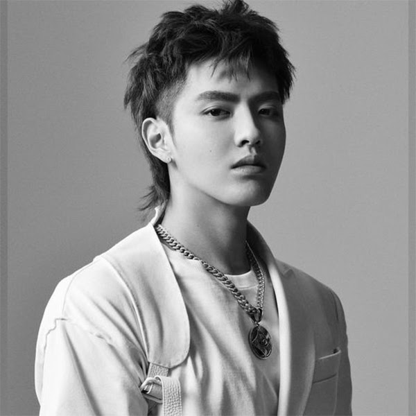 25 kiểu tóc Mullet đẹp cực ngầu sành điệu dẫn đầu xu hướng hiện nay