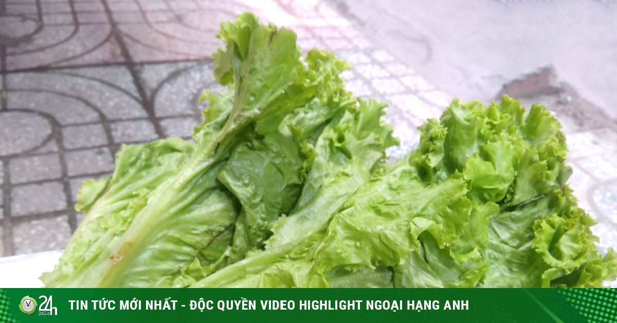 Những lợi ích bất ngờ của việc ăn rau xanh mỗi ngày