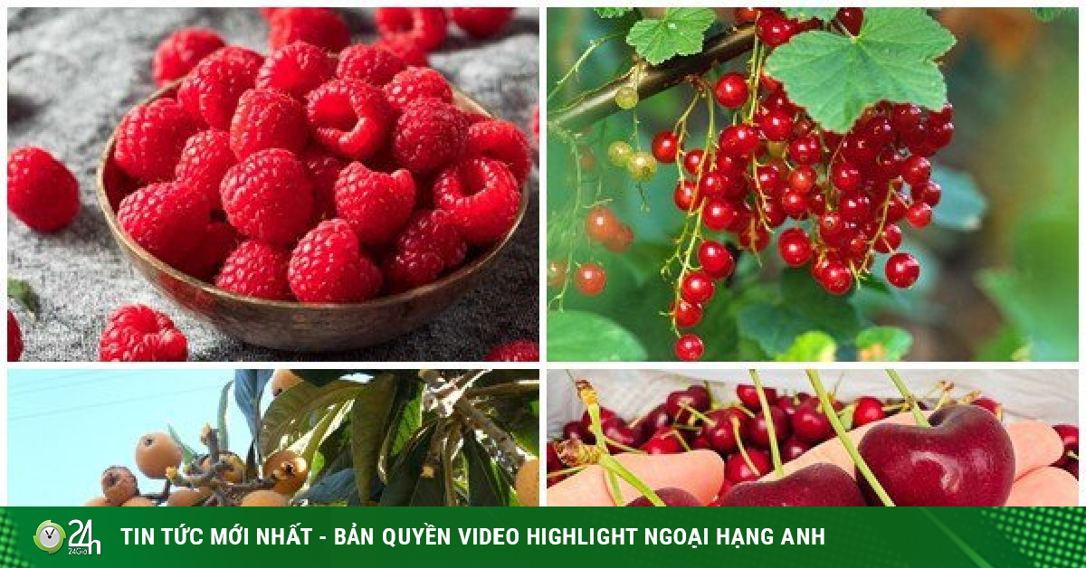 4 quả "rụng đầy đường” ở nước ngoài, về Việt Nam giá "trên trời"