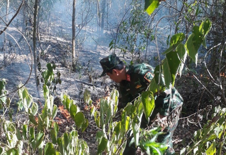 Cháy 10 ha rừng keo ở Quảng Ngãi suốt 4 tiếng