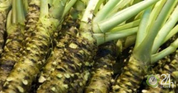 Củ wasabi mất ngon sau 15 phút có giá lên tới 2 triệu đồng