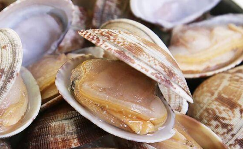 Bí quyết sơ chế ngao tuyệt đỉnh của người dân miền biển, khiến ngao nhả ...