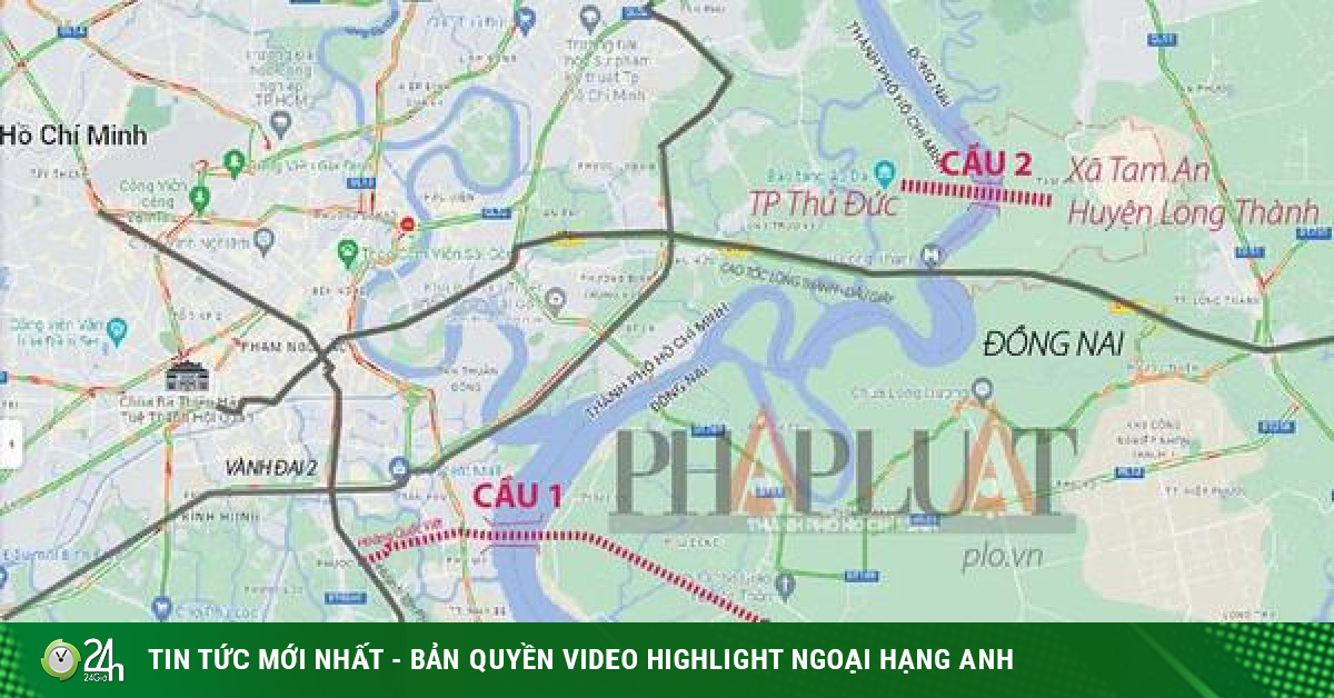 Sẽ thay thế cầu Cát Lái bằng 2 cây cầu khác