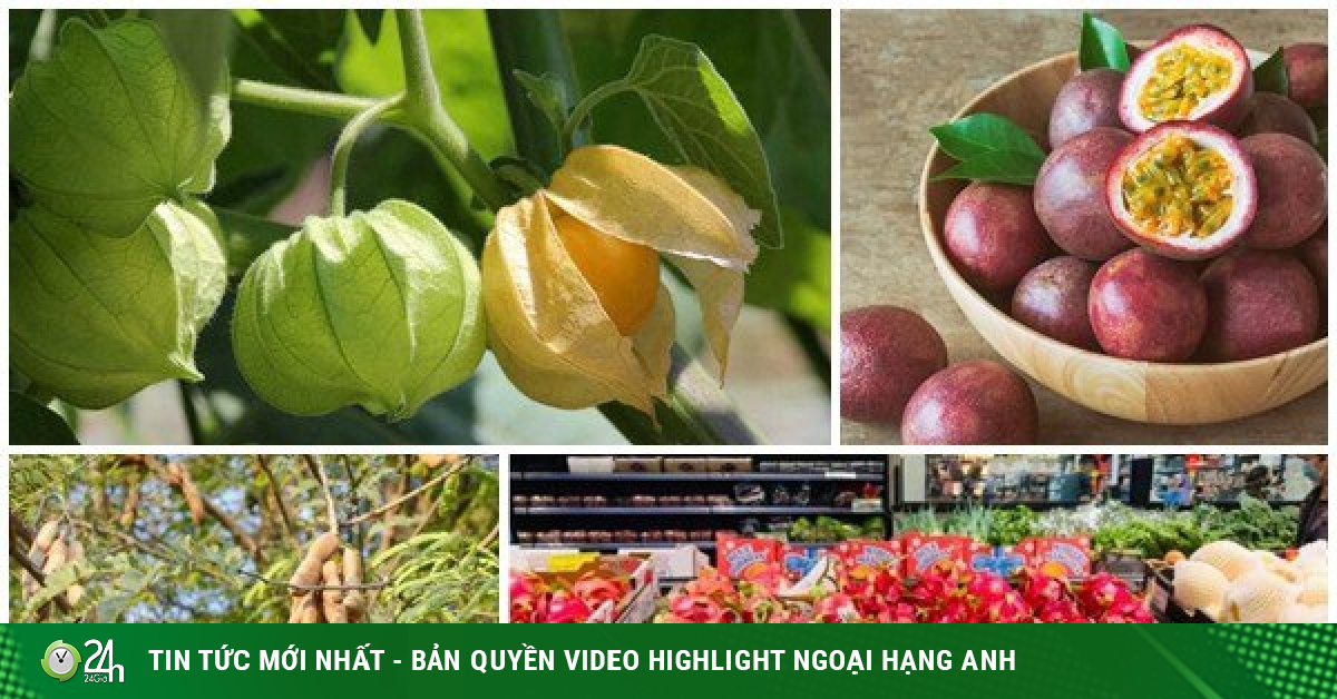 4 loại quả ở Việt Nam "rẻ như cho”, ra nước ngoài "cực chát"